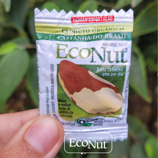 A Castanha do Pará Orgânica Econut ® | Biomarket Alimentos Vivos